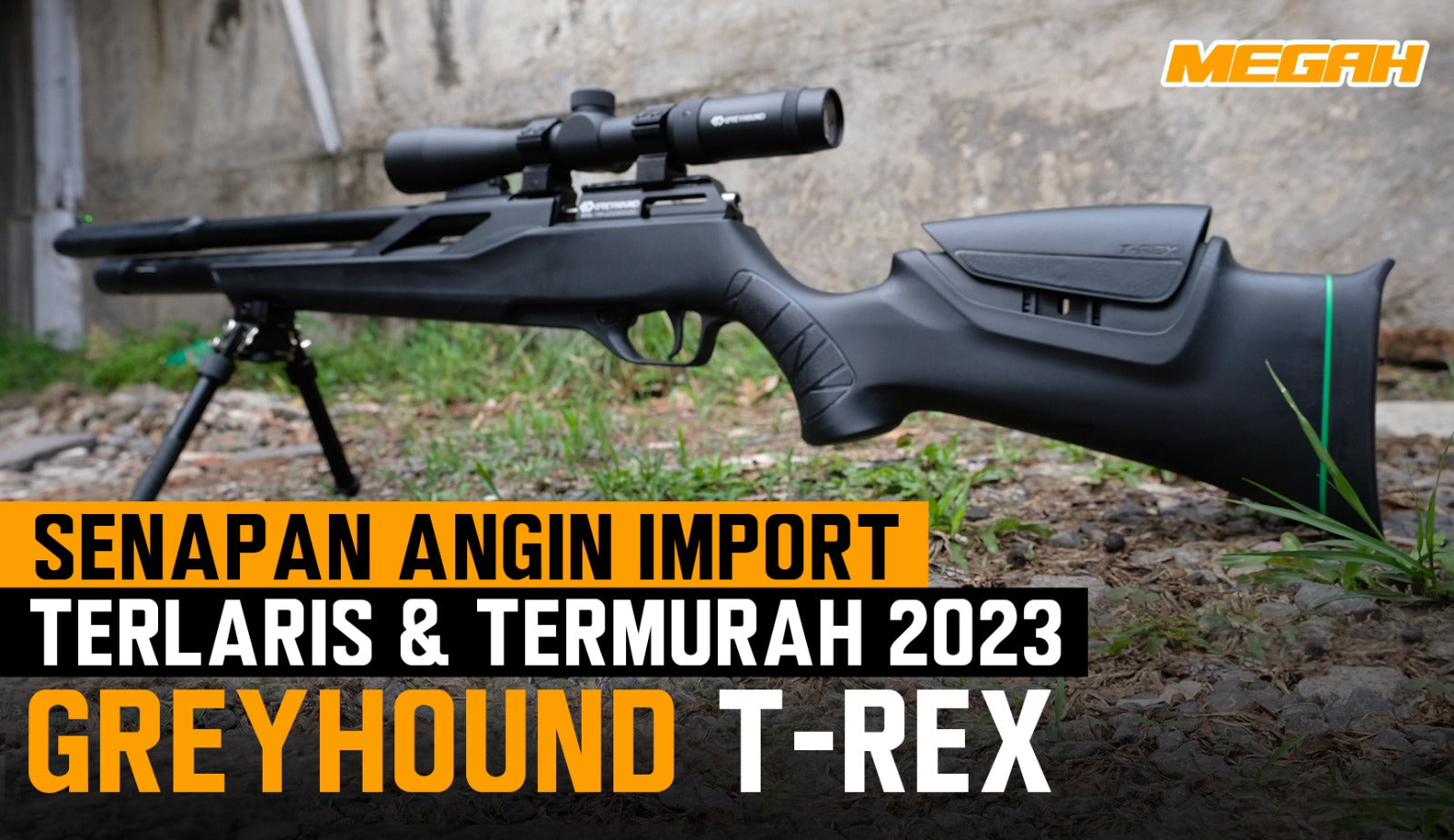 Senapan Angin Import Terlaris 2023: Greyhound T-Rex – Megah Sport