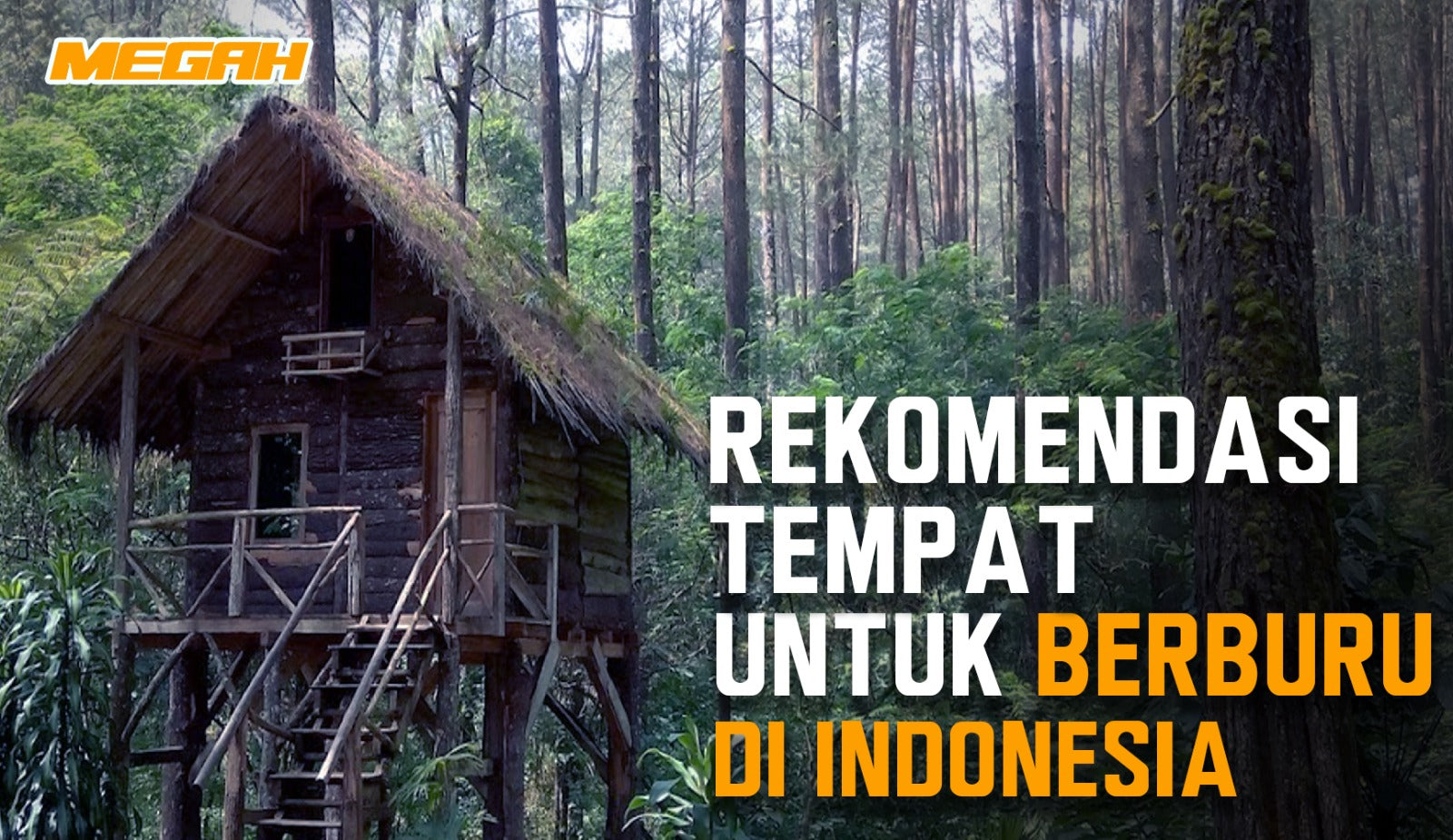 Mau Hunting? Ini Dia Daftar Tempat-tempat Berburu yang Legal di Indone ...